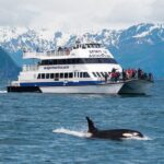 From Seward: Kenai Fjords National Park Cruise with Lunch - Authentic Experiences and Real Traveler Feedback
