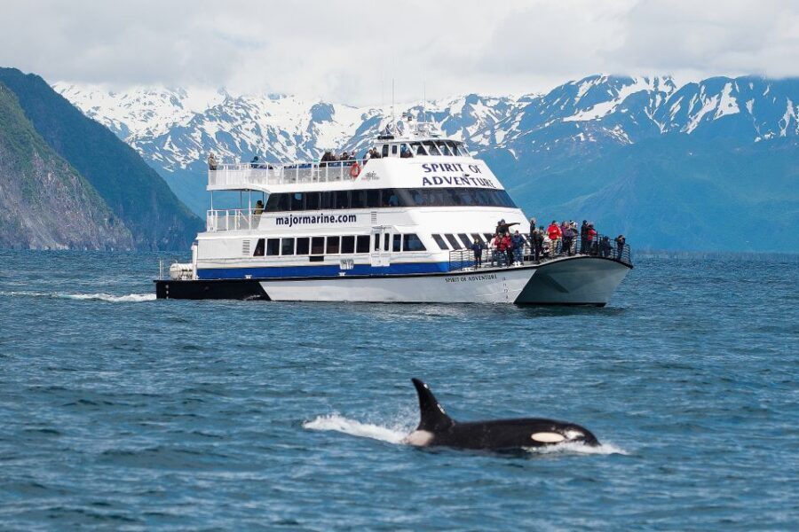 From Seward: Kenai Fjords National Park Cruise with Lunch - Authentic Experiences and Real Traveler Feedback