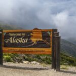From Skagway: White Pass Summit Guided Bus Tour - What Travelers Say: Authentic Opinions and Insights