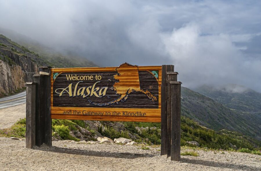 From Skagway: White Pass Summit Guided Bus Tour - What Travelers Say: Authentic Opinions and Insights