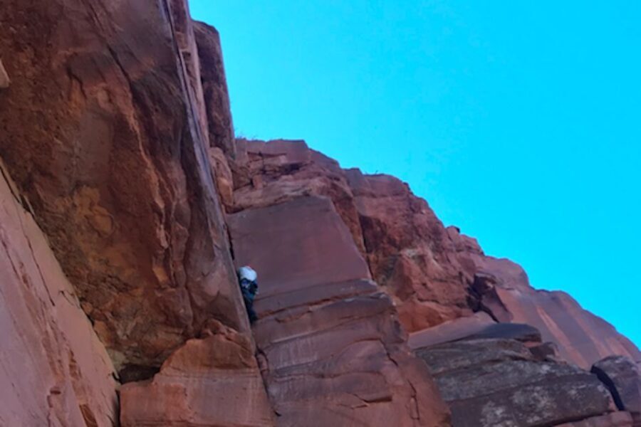 From Springdale: Half-Day Rock Climbing Experience - Understanding the Cost and Value