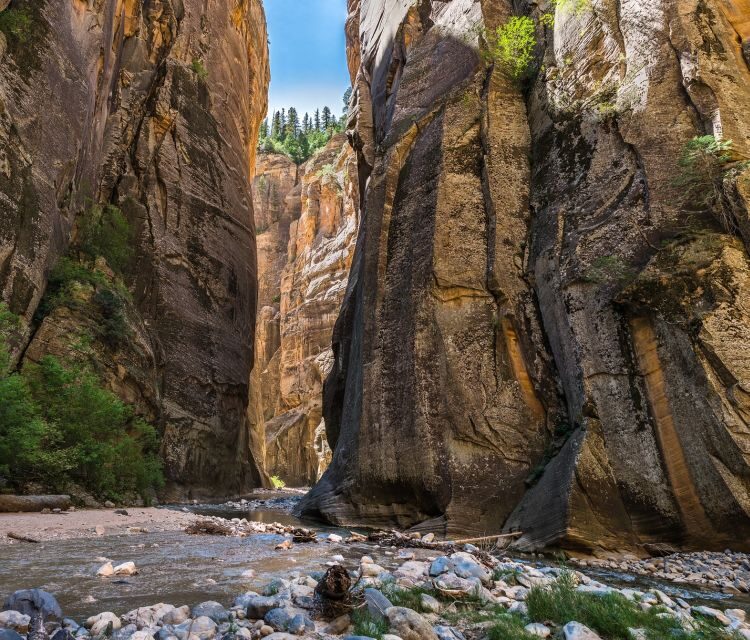 From Springdale: The Zion Narrows Hike with Lunch - Who Should Consider This Tour?