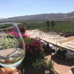 From Tijuana: Valle de Guadalupe Private Winery Tour - Practical Details and Value