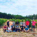 From Toronto: Niagara Wine Tours - A Thorough Look at the Tour Itself