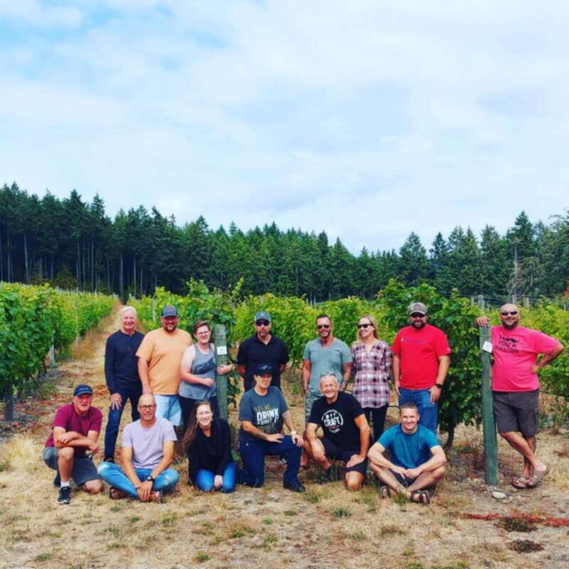 From Toronto: Niagara Wine Tours - A Thorough Look at the Tour Itself