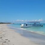 From Treasure Island: Dolphin Watching and Shelling Cruise - Why This Tour Offers Real Value