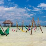 From Tulum: Holbox Island Full-Day Trip with Lunch - Transportation, Group Size, and Overall Value