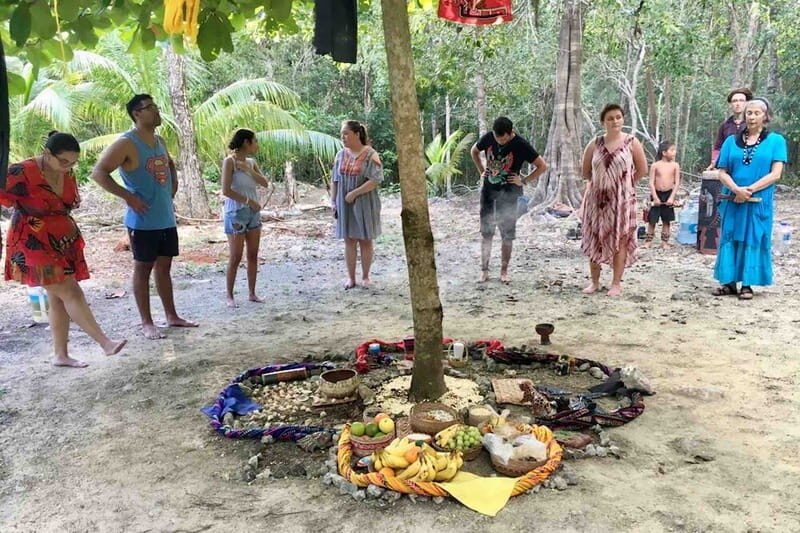 From Tulum: Temazcal & Cenote Private Experience - What Makes This Tour Stand Out?