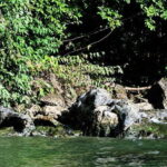 From Tuxtla:4 dias, Chiapas,Naturaleza,Cultura yMagia Guiado - What Visitors Say and Why It Matters