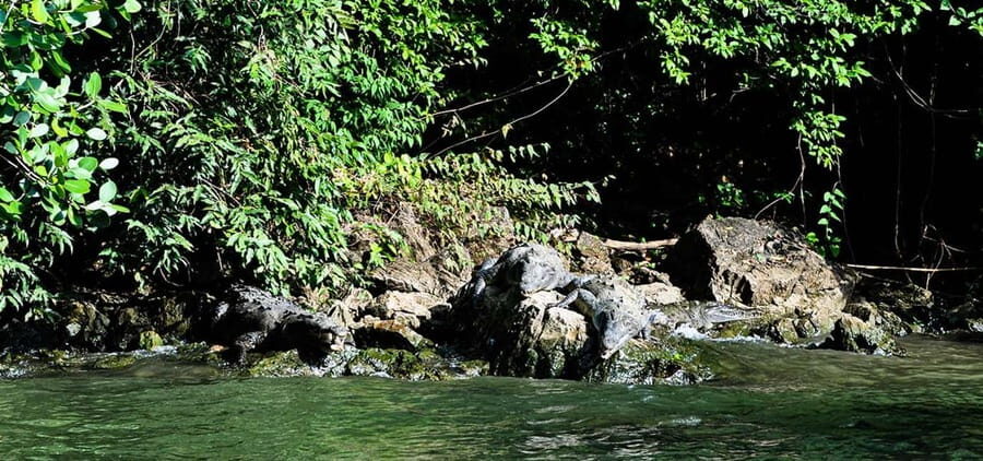 From Tuxtla:4 dias, Chiapas,Naturaleza,Cultura yMagia Guiado - What Visitors Say and Why It Matters
