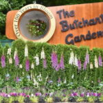 From Vancouver: Victoria City and Butchart Gardens Tour - The Scenic Journey: Vancouver to Vancouver Island