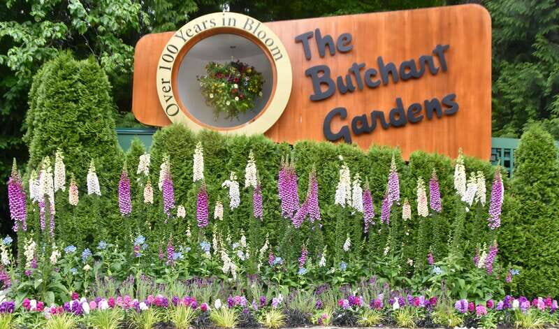 From Vancouver: Victoria City and Butchart Gardens Tour - The Scenic Journey: Vancouver to Vancouver Island
