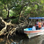 From Veracruz: Nature & Seafood Boat Tour to Madinga - Pricing and Value Analysis
