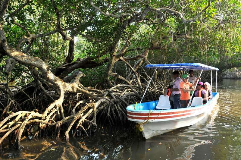 From Veracruz: Nature & Seafood Boat Tour to Madinga - Pricing and Value Analysis