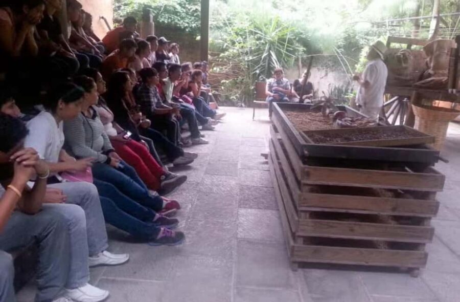 From Veracruz: Xalapa & Coatepec Day Trip - Final Thoughts