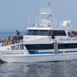 From Victoria: Whale Watching Trip on Covered Boat - Who Will Love This Tour?