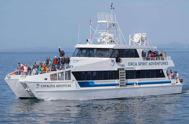 From Victoria: Whale Watching Trip on Covered Boat - Who Will Love This Tour?