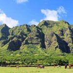 From Waikiki: Circle Island Tour - A Day in the Life: What to Expect