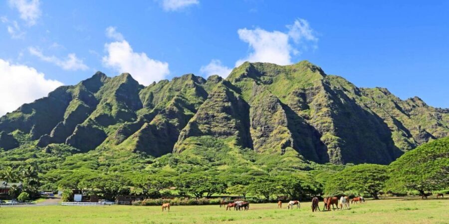 From Waikiki: Circle Island Tour - A Day in the Life: What to Expect