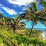 From Waikiki: Hawaii Grand Circle Island Tour - Exploring the Itinerary: What You Can Expect