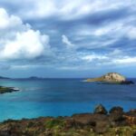 From Waikiki: Oahu Scenic Half-Day Circle Island Tour - Diving Into the Details: Why This Tour Works