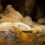 From Washington DC: Day Trip to Luray Caverns - A Deep Dive into the Luray Caverns Day Trip
