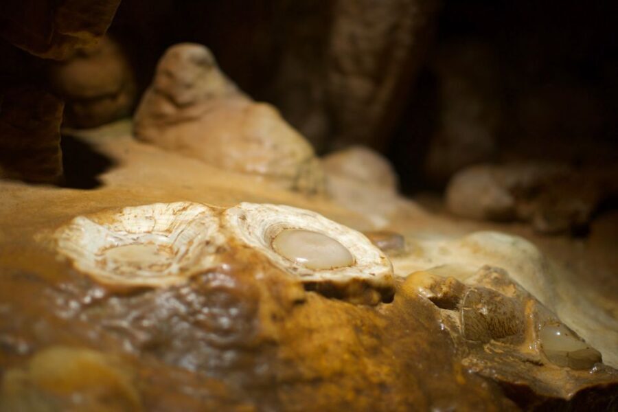 From Washington DC: Day Trip to Luray Caverns - A Deep Dive into the Luray Caverns Day Trip