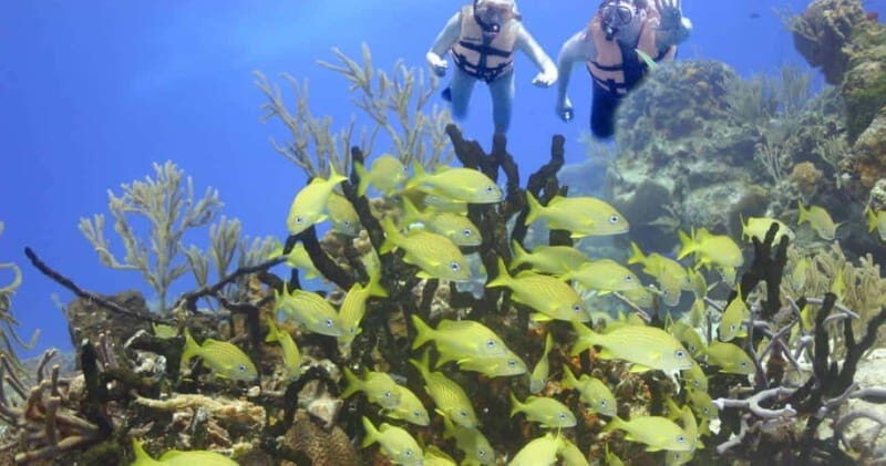 FromCancun: Puerto Morelos: Bike & Zip Line Tour - An In-Depth Look at the Tour Itself