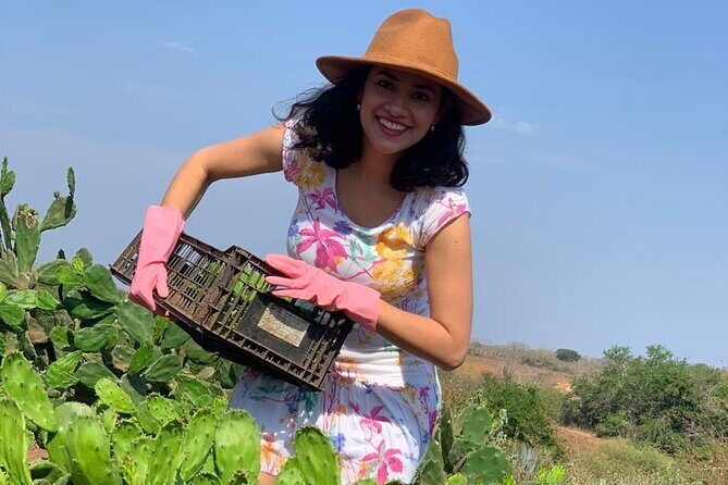 Fruit Garden and Mezcal Tasting Tour with Lunch Included - What Travelers Appreciate (and What They Might Not)