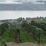 Full Day 4 Wineries Mission Hill & Quails Gate With Lunch Stop* - Who Should Book This Tour?