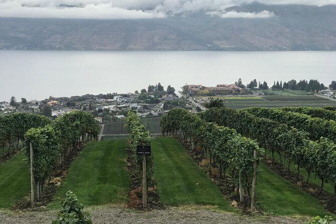 Full Day 4 Wineries Mission Hill & Quails Gate With Lunch Stop* - Who Should Book This Tour?