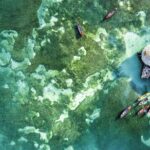 Full-Day Appleton Rum, YS Falls and Pelican Bar Private Tour - The Value and Who Should Consider This Tour