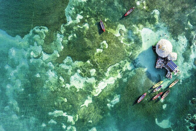 Full-Day Appleton Rum, YS Falls and Pelican Bar Private Tour - The Value and Who Should Consider This Tour