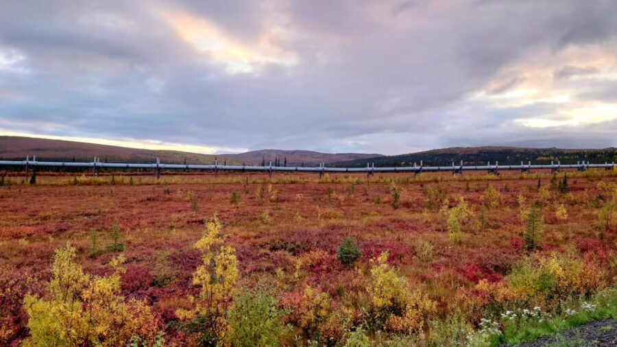Full Day Arctic Circle Adventure From Fairbanks - Final Thoughts