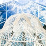 Full Day Calgary City Tour, Calgary Tower, Zoo, & More - The Practicalities: What’s Included and What’s Not
