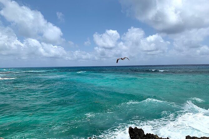 Full-Day Catamaran Cozumel Tour with Sky Snorkeling - What Makes This Tour Stand Out?