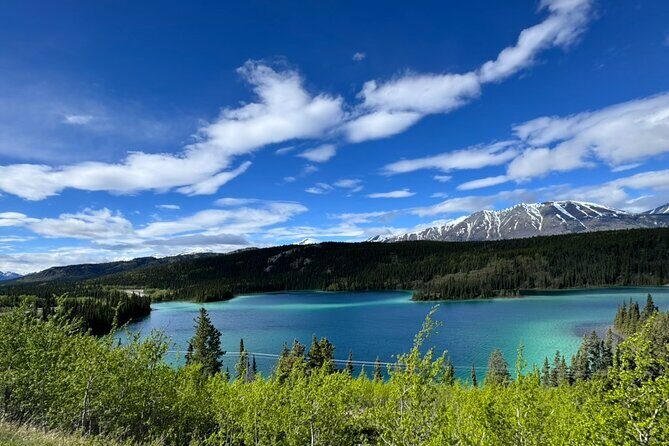 Full Day Emerald Lake Tour with or without Huskies - Who Will Appreciate This Tour?