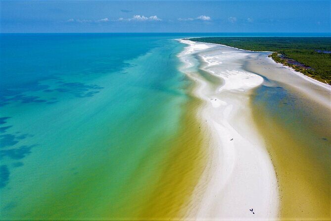 Full Day Excursion to the Best of Holbox From Riviera Maya - Exploring the Itinerary: What to Expect