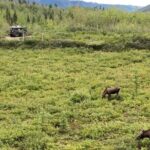 Full Day: Fairbanks to Denali Winter Adventure & SHERP Tour - The Value of This Tour
