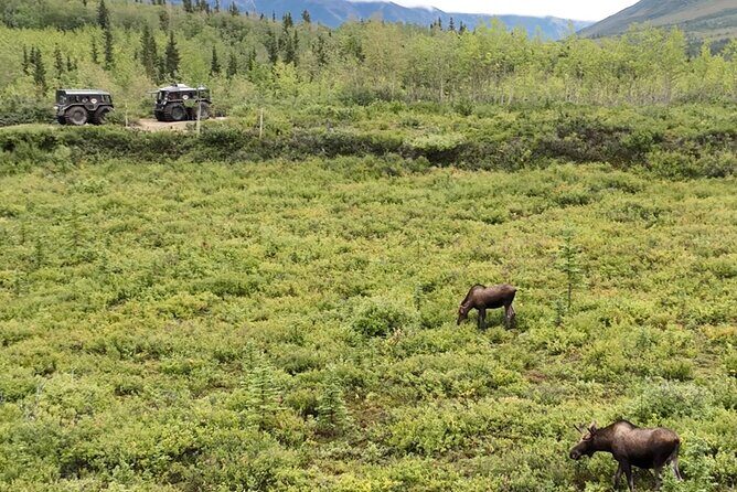 Full Day: Fairbanks to Denali Winter Adventure & SHERP Tour - The Value of This Tour