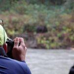 Full Day Grizzly Bear Tour to Toba Inlet - Why This Tour Is Worth Considering