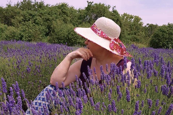 Full-Day Highlights of Prince Edward County Private Tour - Authenticity and Value: What Travelers Say