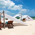 Full-Day Holbox Island Boat and Buggy Tour with Lunch - Who Will Love This Tour?