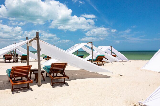 Full-Day Holbox Island Boat and Buggy Tour with Lunch - Who Will Love This Tour?