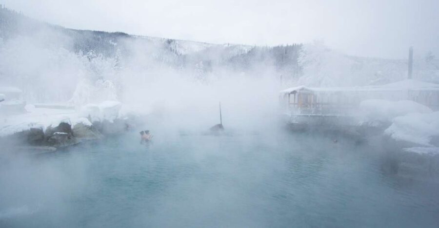 Full Day Ice Museum and Chena Hot Springs Tour - Weighing the Value: Is It Worth It?