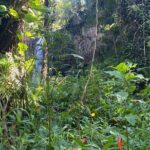 Full Day Island of Maui Private Tour - Is the Price Worth It?