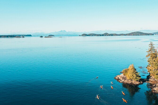 Full Day Kayaking Adventure on Vancouver Island - The Value of the Tour