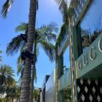 Full-Day LA Iconic Sites Tour From Hollywood with Six Stops - Practical Aspects and What to Expect