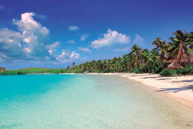 Full Day Nature Expedition to Contoy Island and Isla Mujeres - What You’ll Love About This Tour