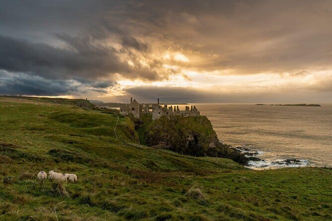 Full Day Private Luxury Tour of Causeway Coast (Giants Causeway) - Practical Considerations